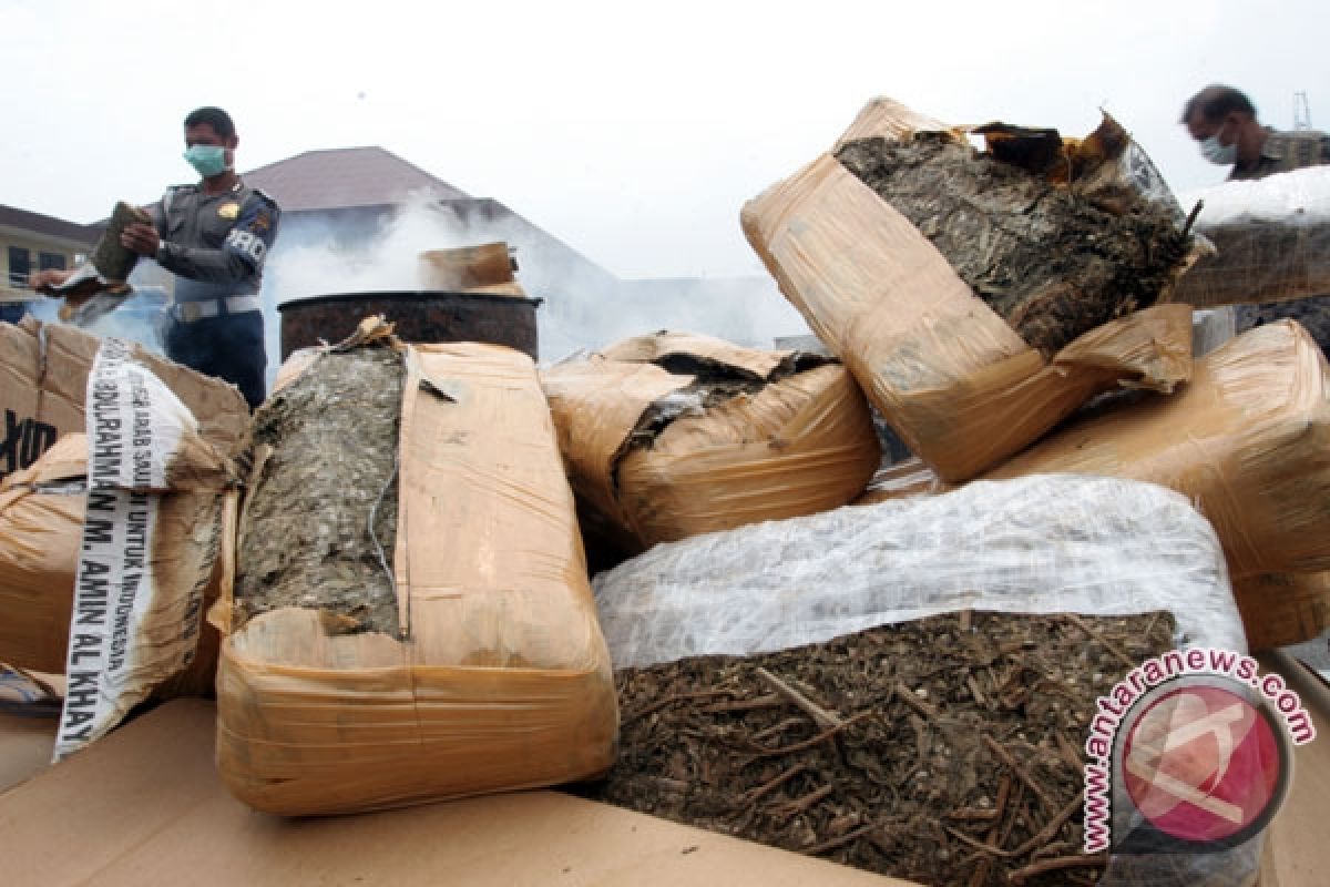 Polisi Temukan 13 Karung Ganja di Jakbar - ANTARA News