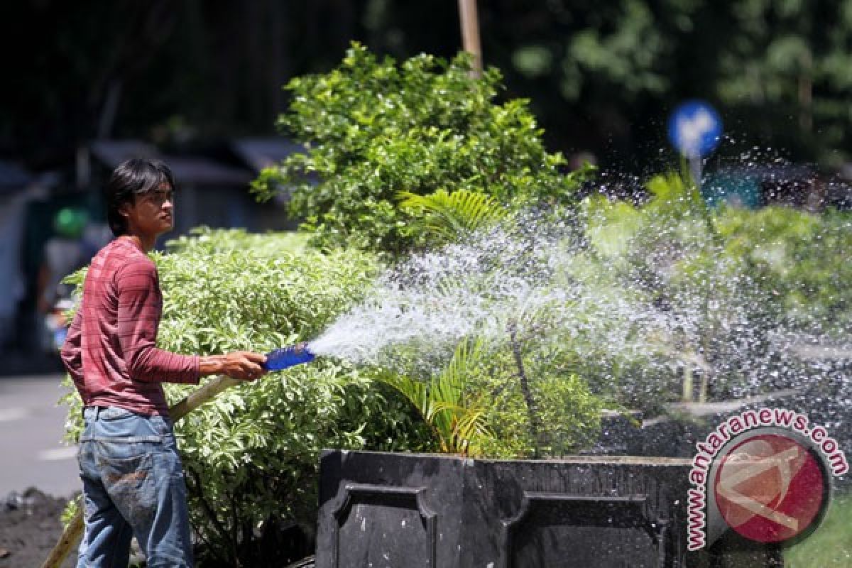 Perawatan taman kota - ANTARA News Yogyakarta - Berita Terkini ...
