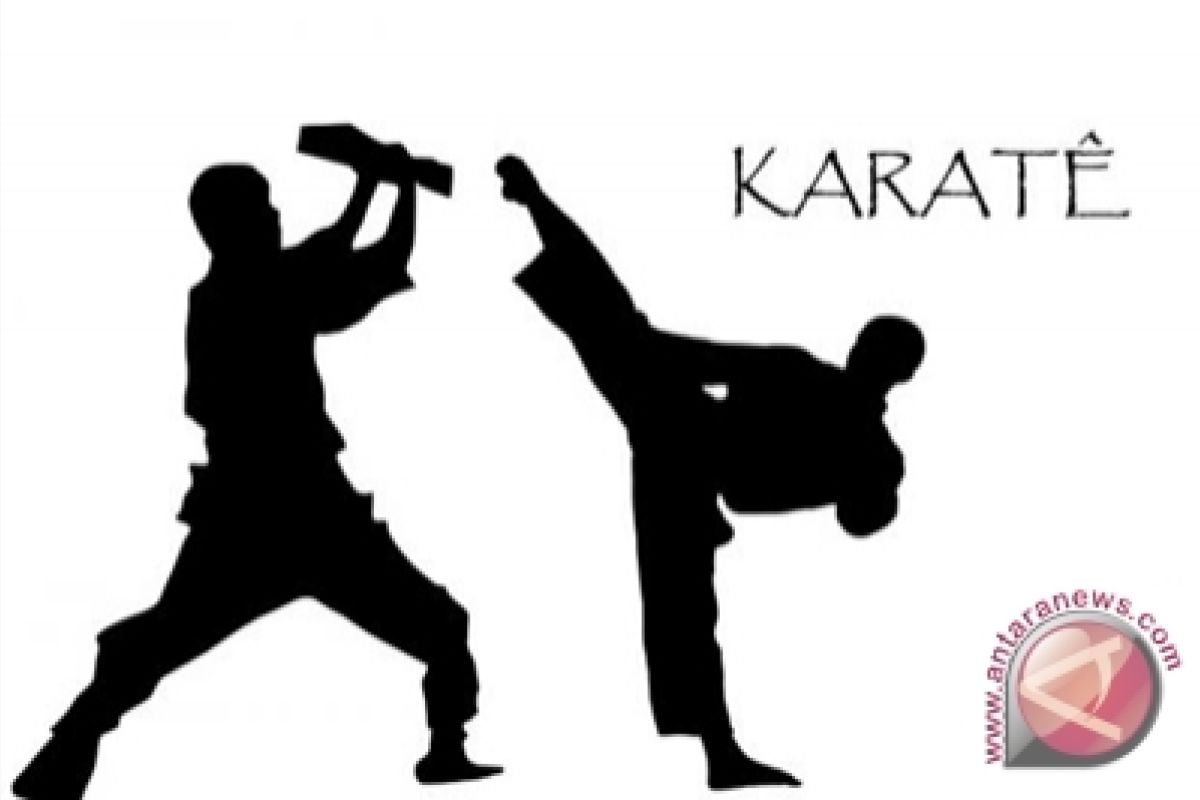 18 negara mendaftar ikut Kejuaraan Dunia Karate - ANTARA News ...