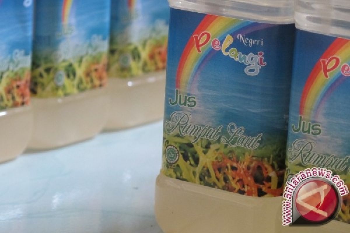 Jus rumput laut "Negeri Pelangi" - ANTARA News Bangka Belitung