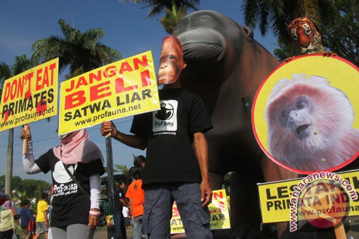 Kampanye Satwa Liar - ANTARA News