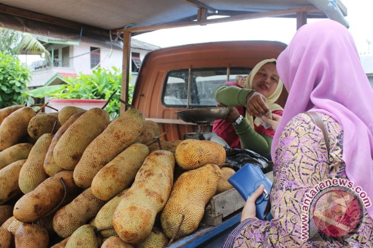 MUSIM CEMPEDAK - ANTARA News Kalimantan Selatan