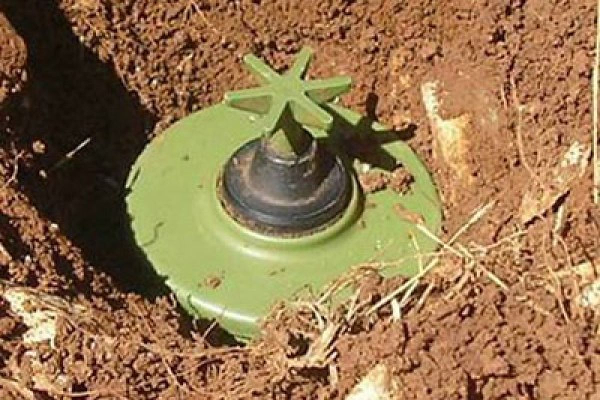 Thailand usir dubes Kamboja imbas insiden ranjau di perbatasan - ANTARA ...