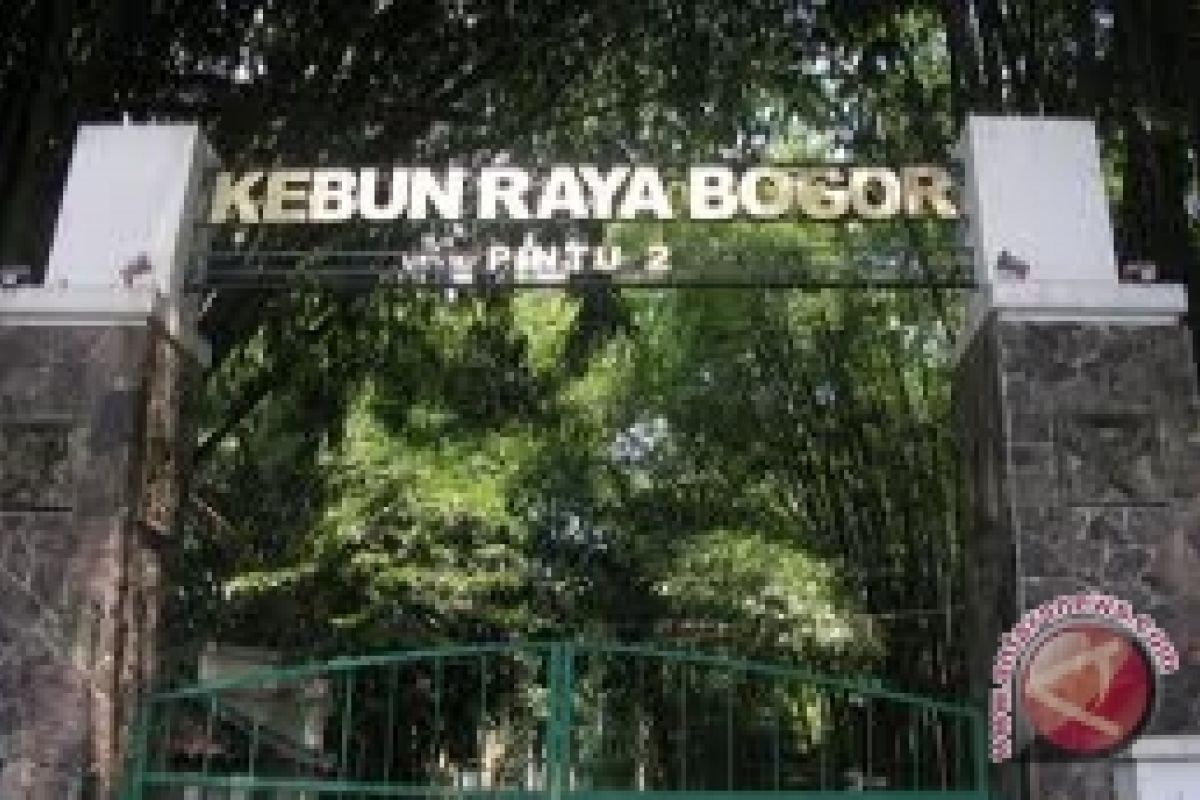 Kebun Raya Bogor kian terancam pesatnya pembangunan - ANTARA News ...