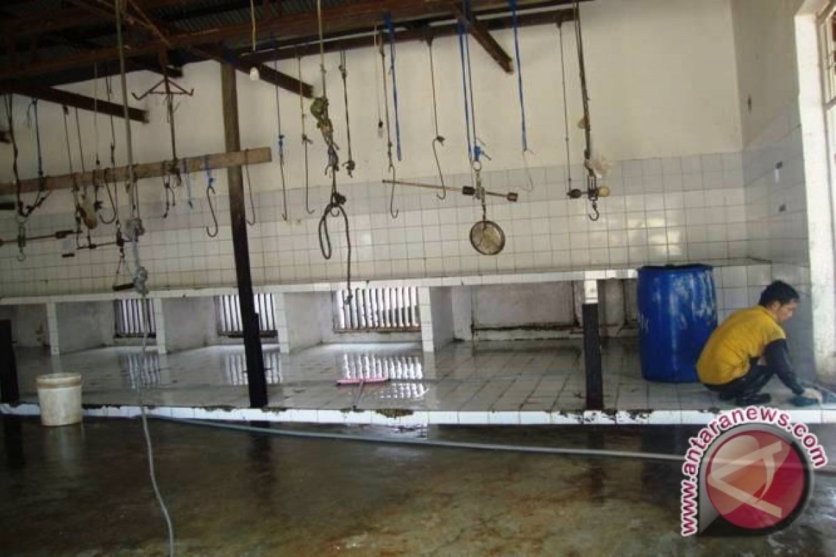 RPH Bontang Potong 271 Sapi Hadapi Lebaran - ANTARA News Kalimantan Timur