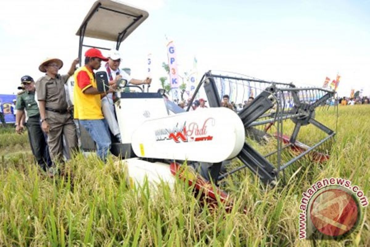 Panen Raya - ANTARA News