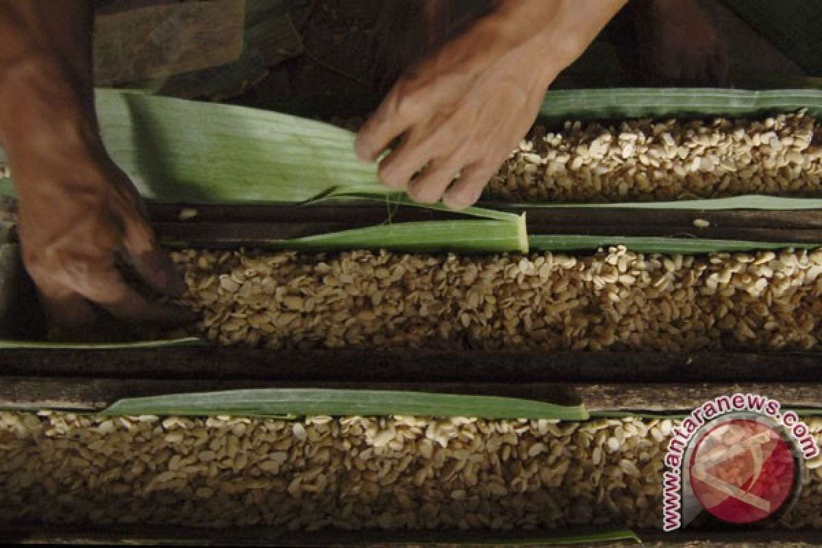 Proses Pembuatan Tempe - ANTARA News