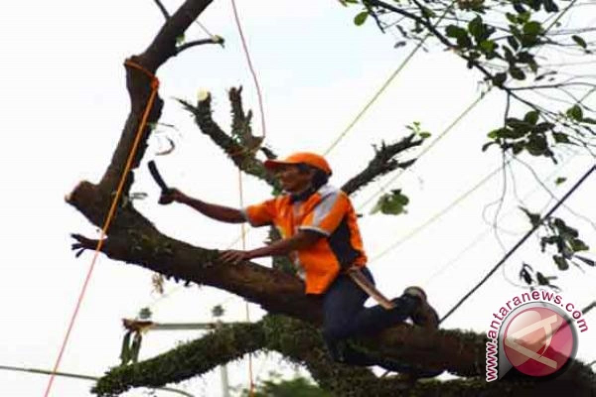 Pembangunan Menara PLN Terkendala Ganti Rugi - ANTARA News Kalteng