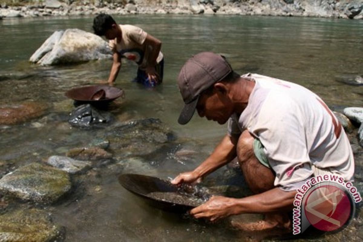 Mendulang Emas - ANTARA News