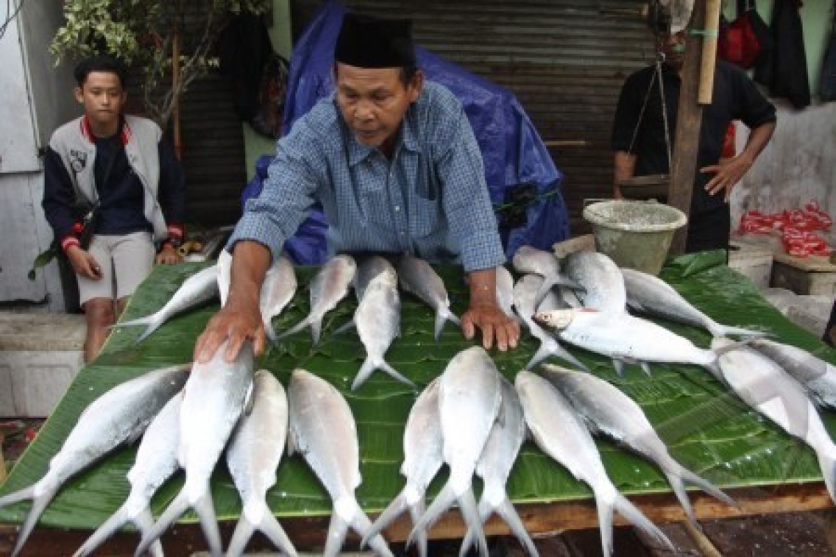 Sate Bandeng Banten Miliki 'Branding' Nasional KKP - ANTARA News Banten