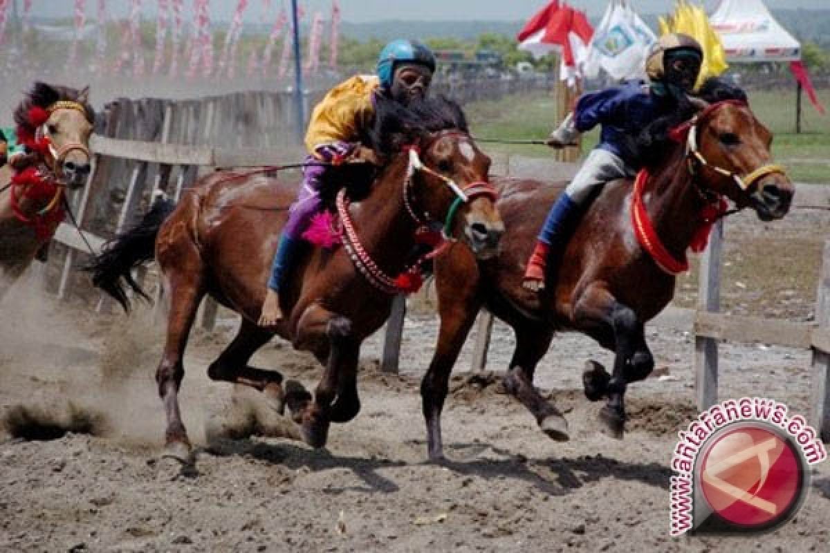 Dispar gelar pacuan kuda piala Paku Alam - ANTARA News Yogyakarta ...