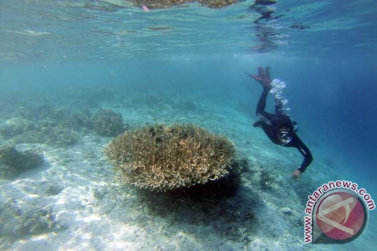 Wisata Laut Pulau Moyo - ANTARA News