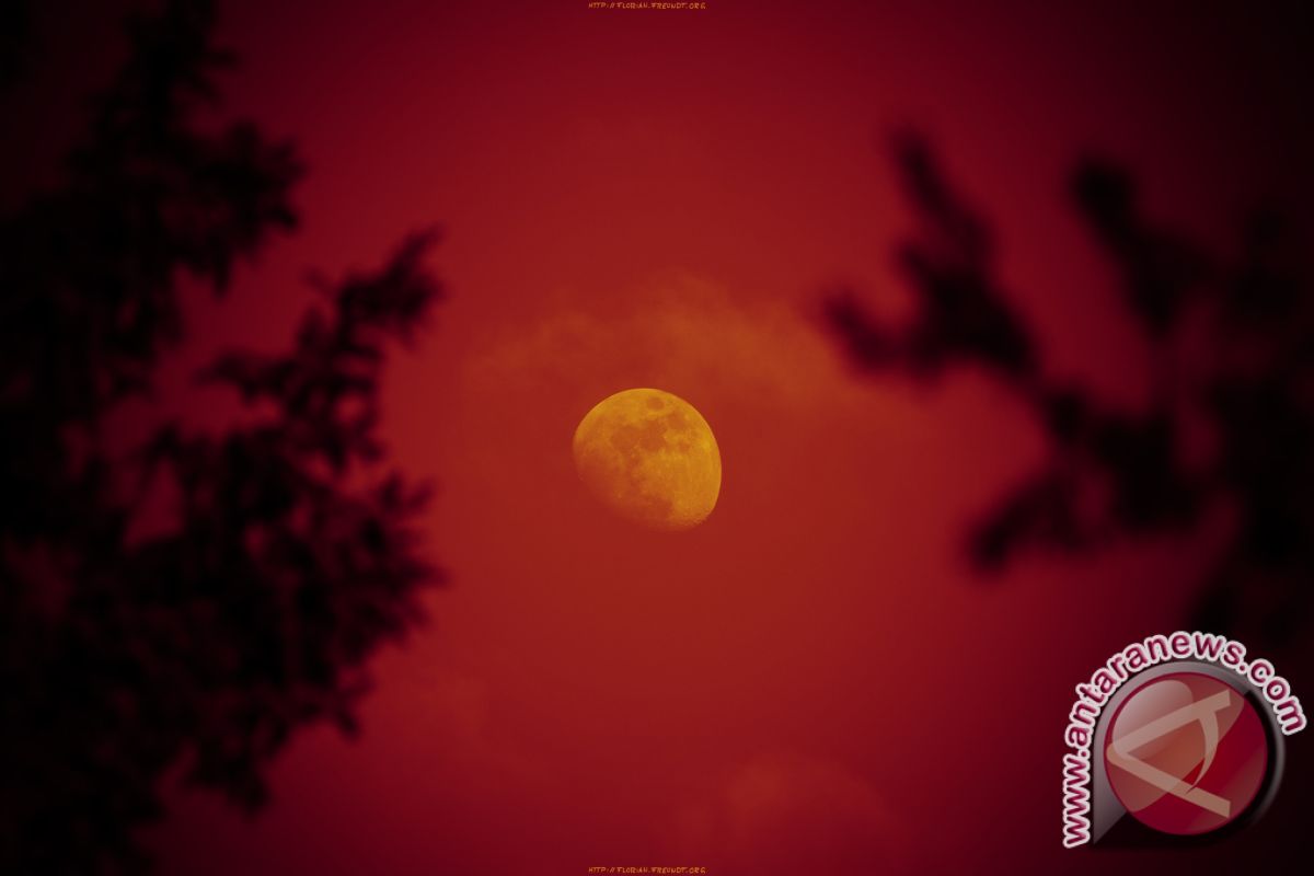Gerhana Bulan Merah Indikator Polusi Udara - ANTARA News Bangka Belitung