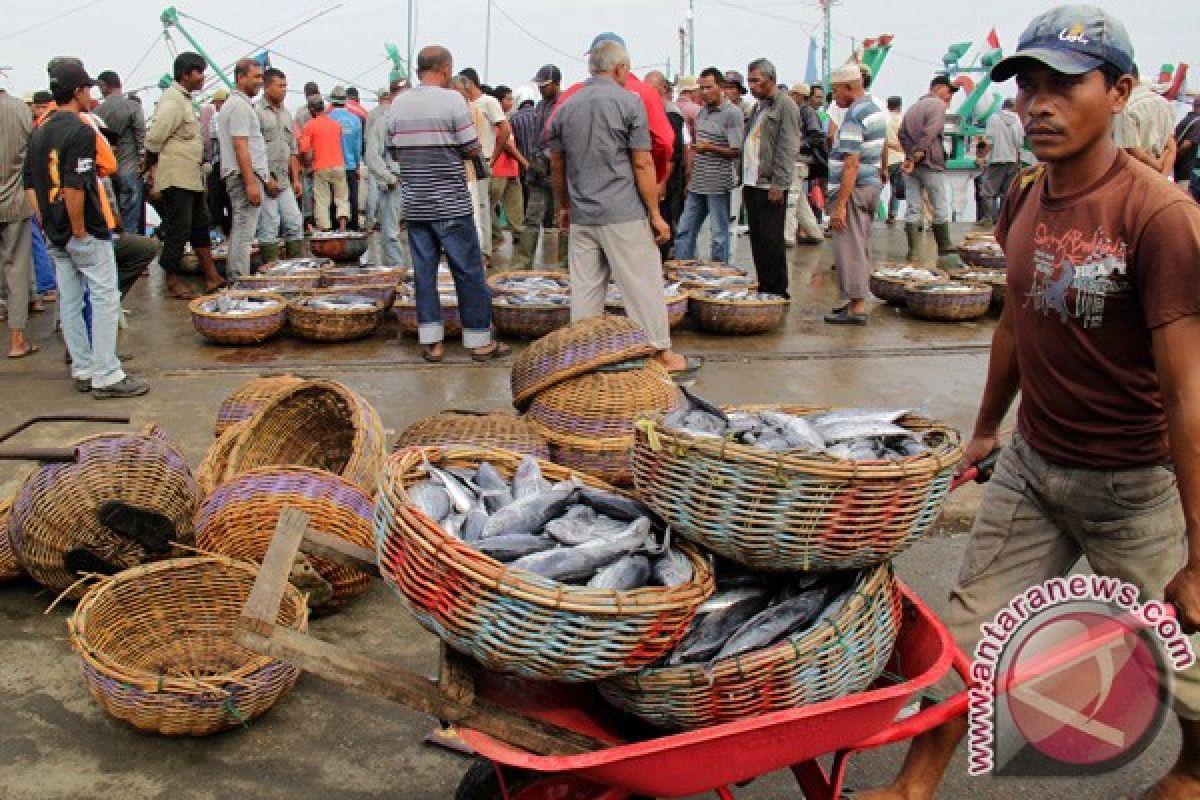 Bebaskan Nelayan Kecil Retribusi - ANTARA News Aceh