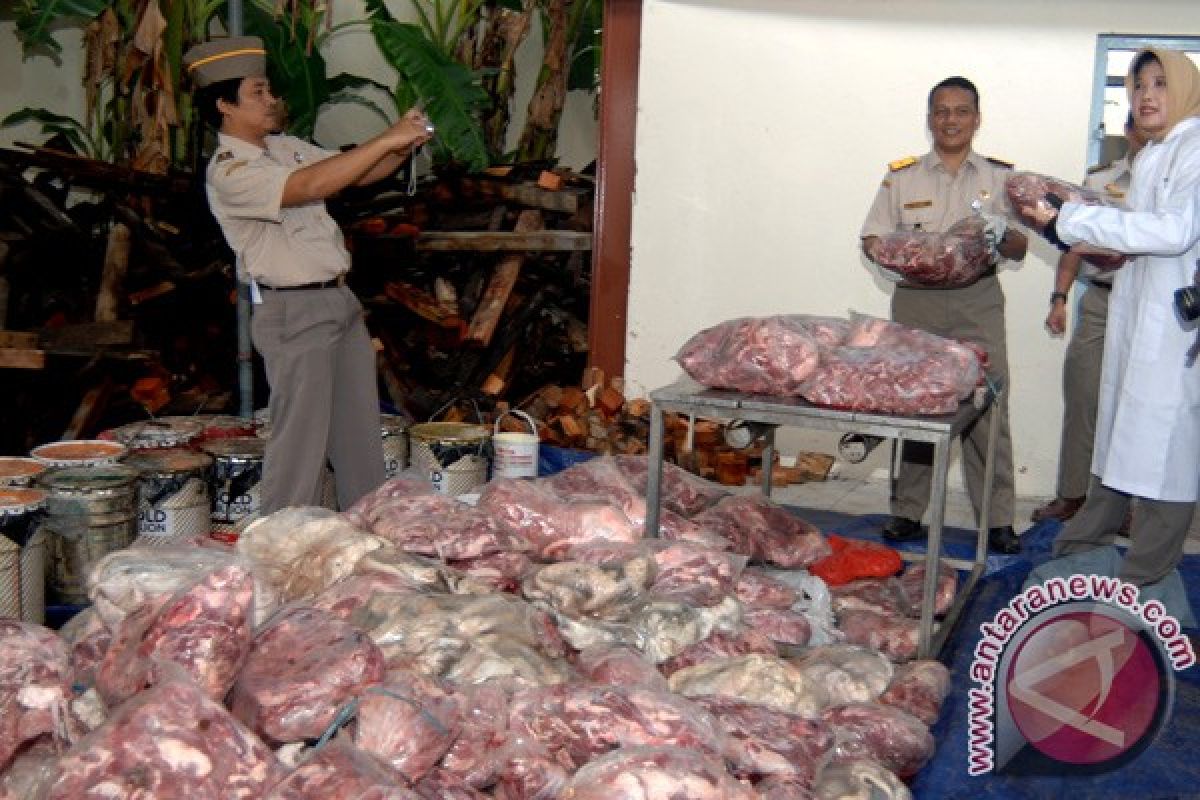 Daging Babi Hutan Selundupan - ANTARA News