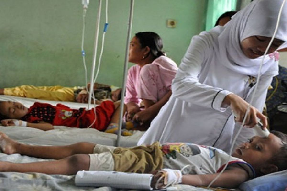 Dinkes Papua terima laporan belasan kasus DBD di Kota Jayapura - ANTARA ...