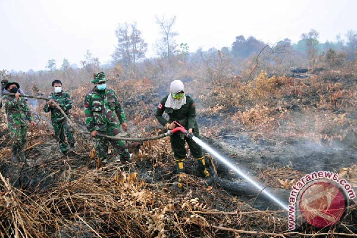 Target Pemadaman Kebakaran Hutan - ANTARA News