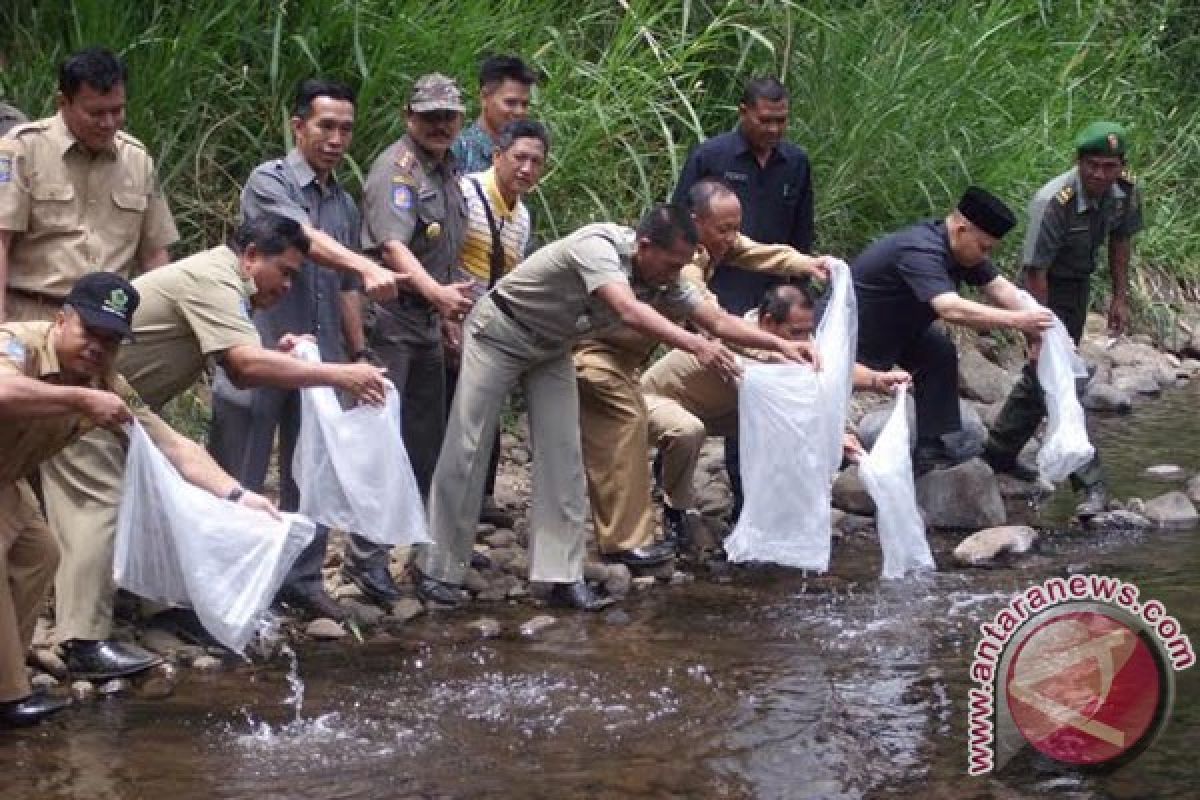 Penebaran benih ikan tunjang kesediaan gizi masyarakat - ANTARA News ...