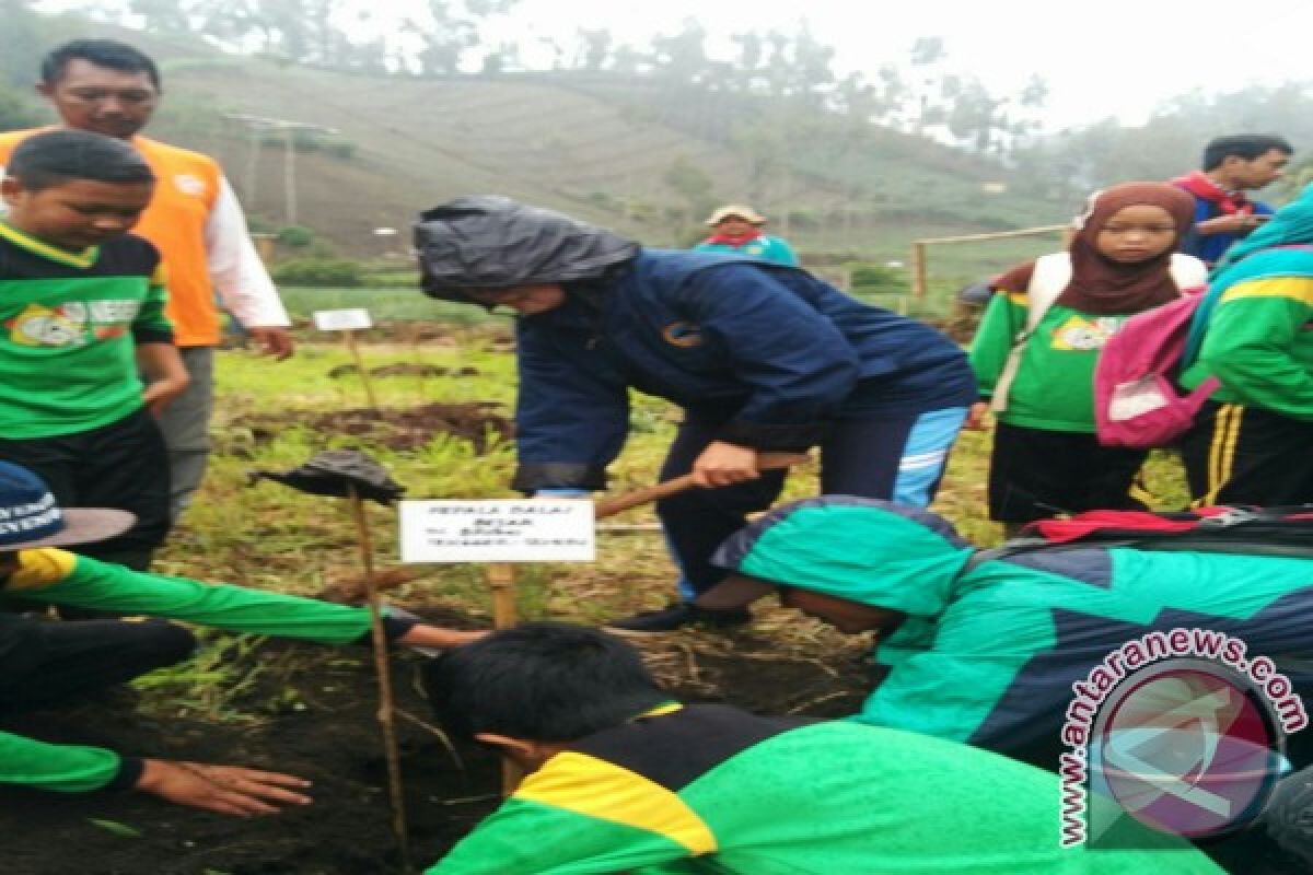 Kegiatan "Tandur Uwit" Awali Restorasi Kawasan TNBTS - ANTARA News Jawa ...