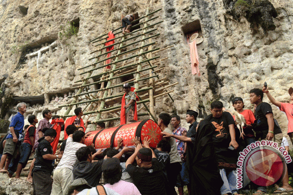 Pemakaman Adat Tana Toraja - ANTARA News