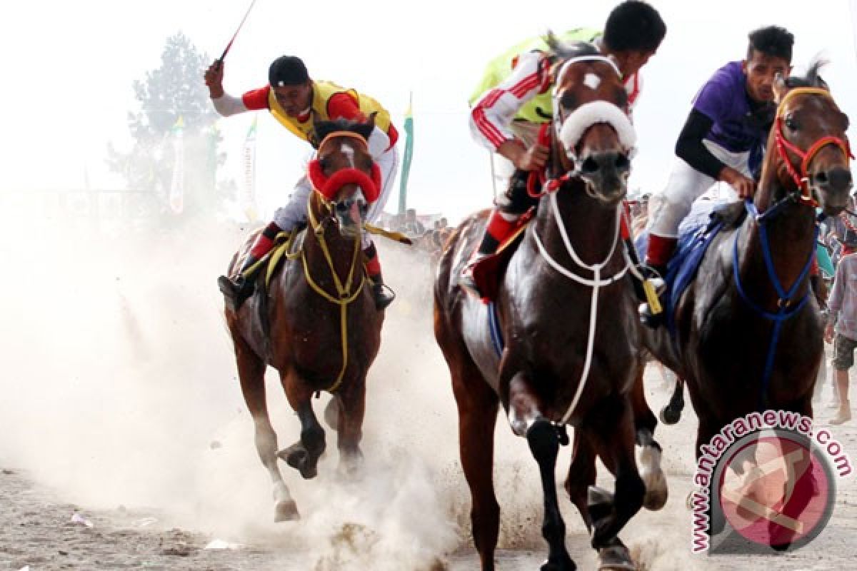 Pacuan Kuda Tradisional - ANTARA News