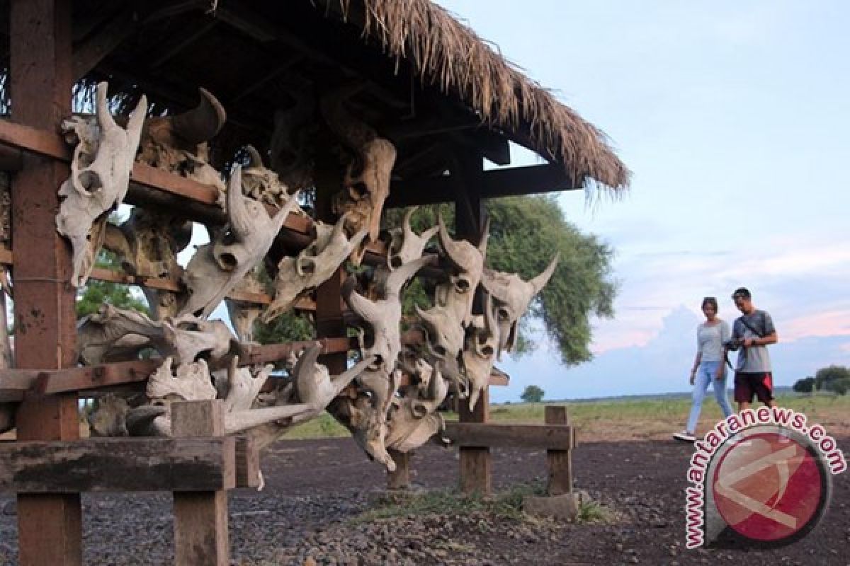 UNESCO Tetapkan Cagar Biosfer - ANTARA News Jawa Timur