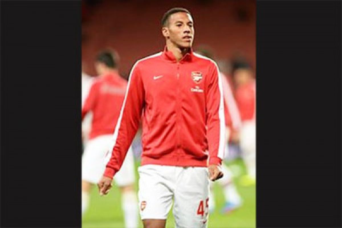 Newcastle kontrak gelandang Arsenal Hayden - ANTARA News