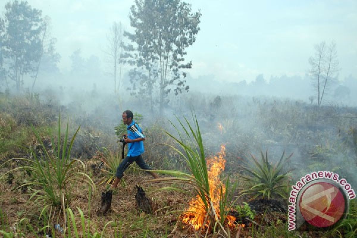 Pemadaman Kebakaran Hutan Dan Lahan Riau - ANTARA News