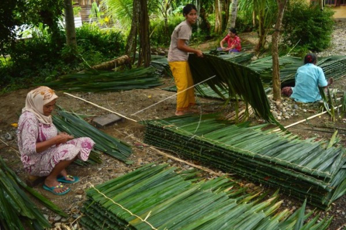 Pengrajin Atap Rumbia - ANTARA News Kalimantan Barat