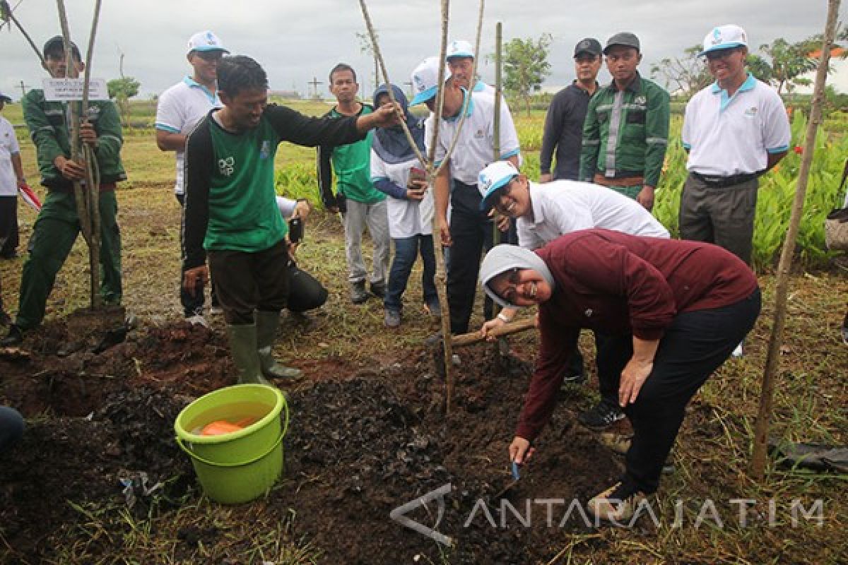 Gerakan Tanam Pohon PLN - ANTARA News Jawa Timur