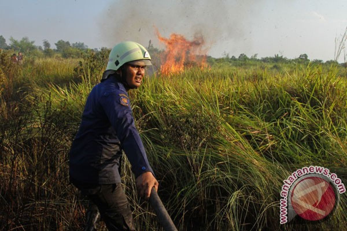 Upaya Pemadaman Kebakaran Lahan - ANTARA News