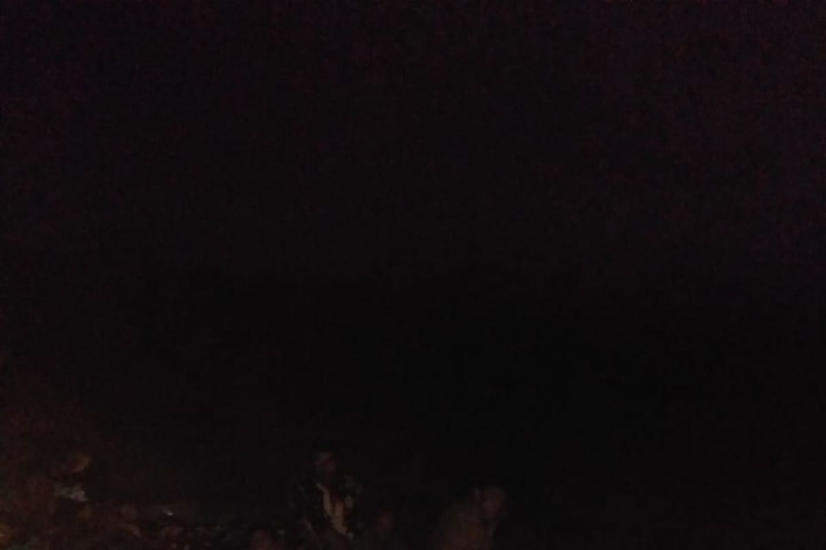 Ribuan Warga Korban Tsunami Masih Bertahan Di Pengungsian Antara News