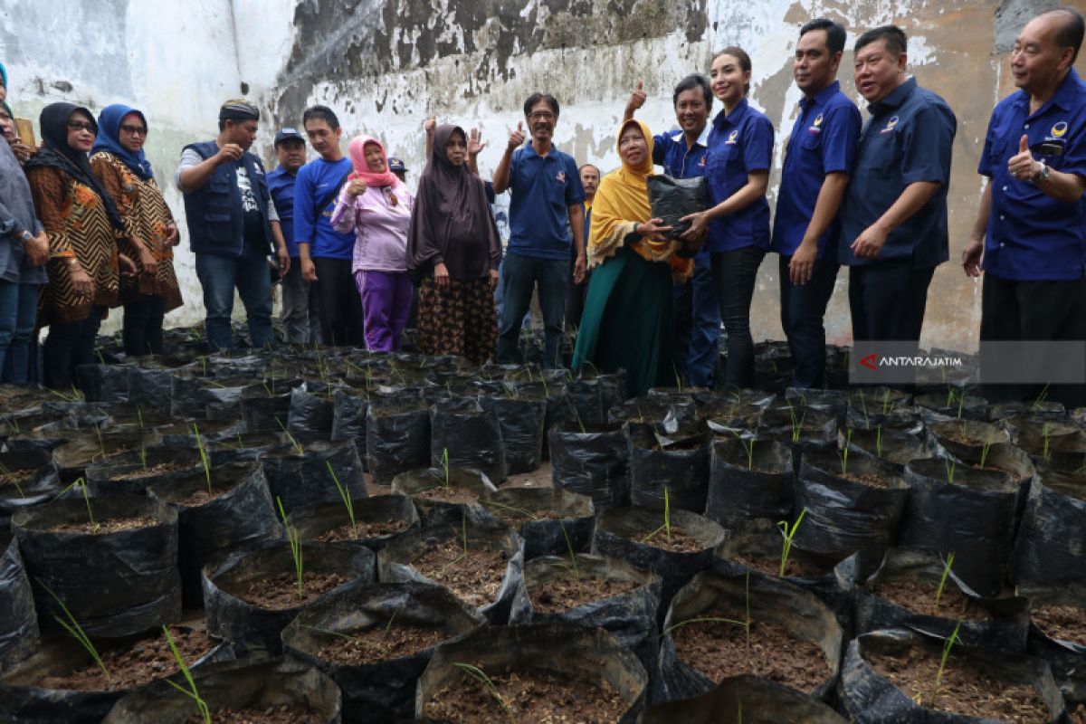 Nasdem Bagikan Bibit Padi - ANTARA News Jawa Timur