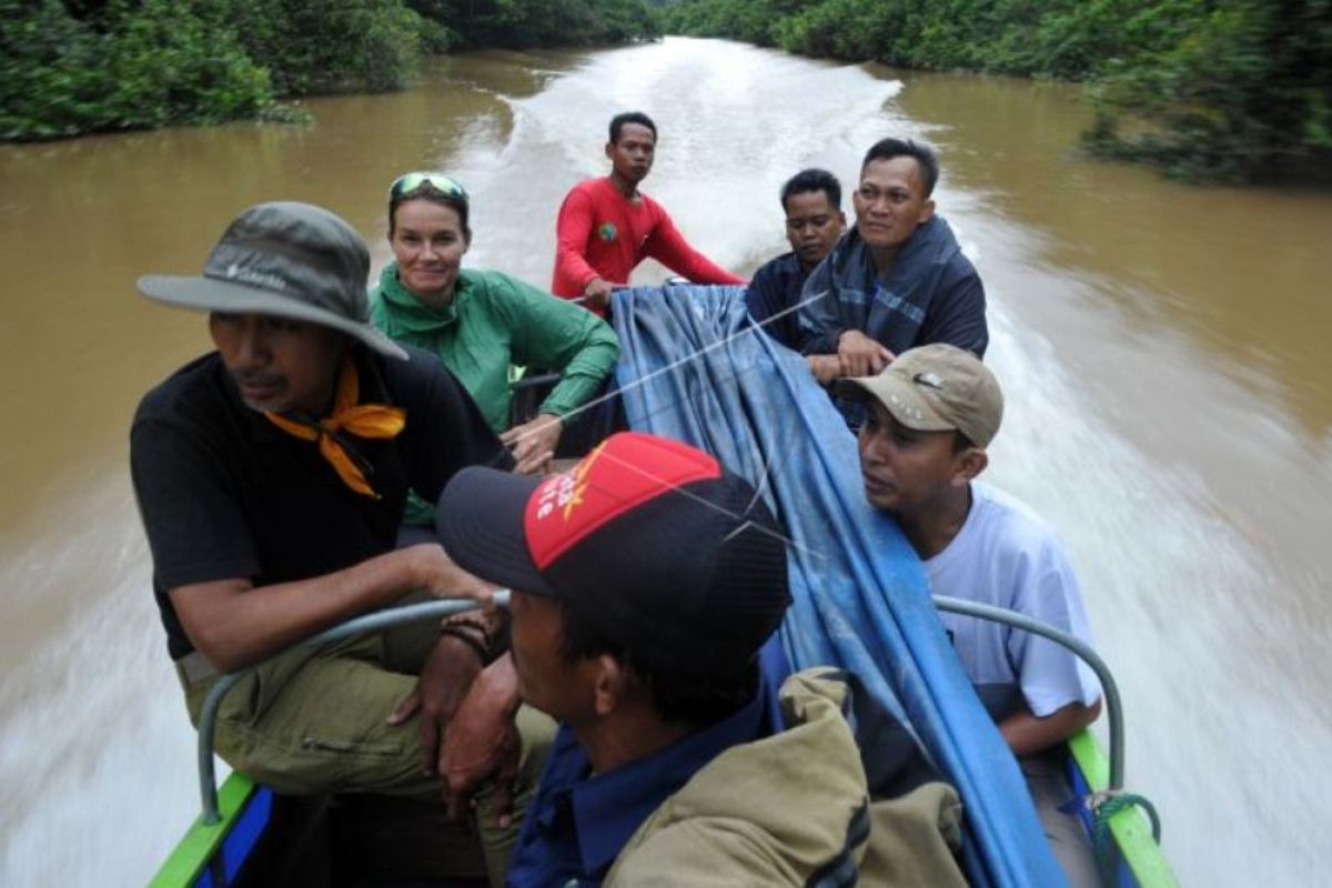 Wisata susur sungai di Tanjabtim - ANTARA News Jambi
