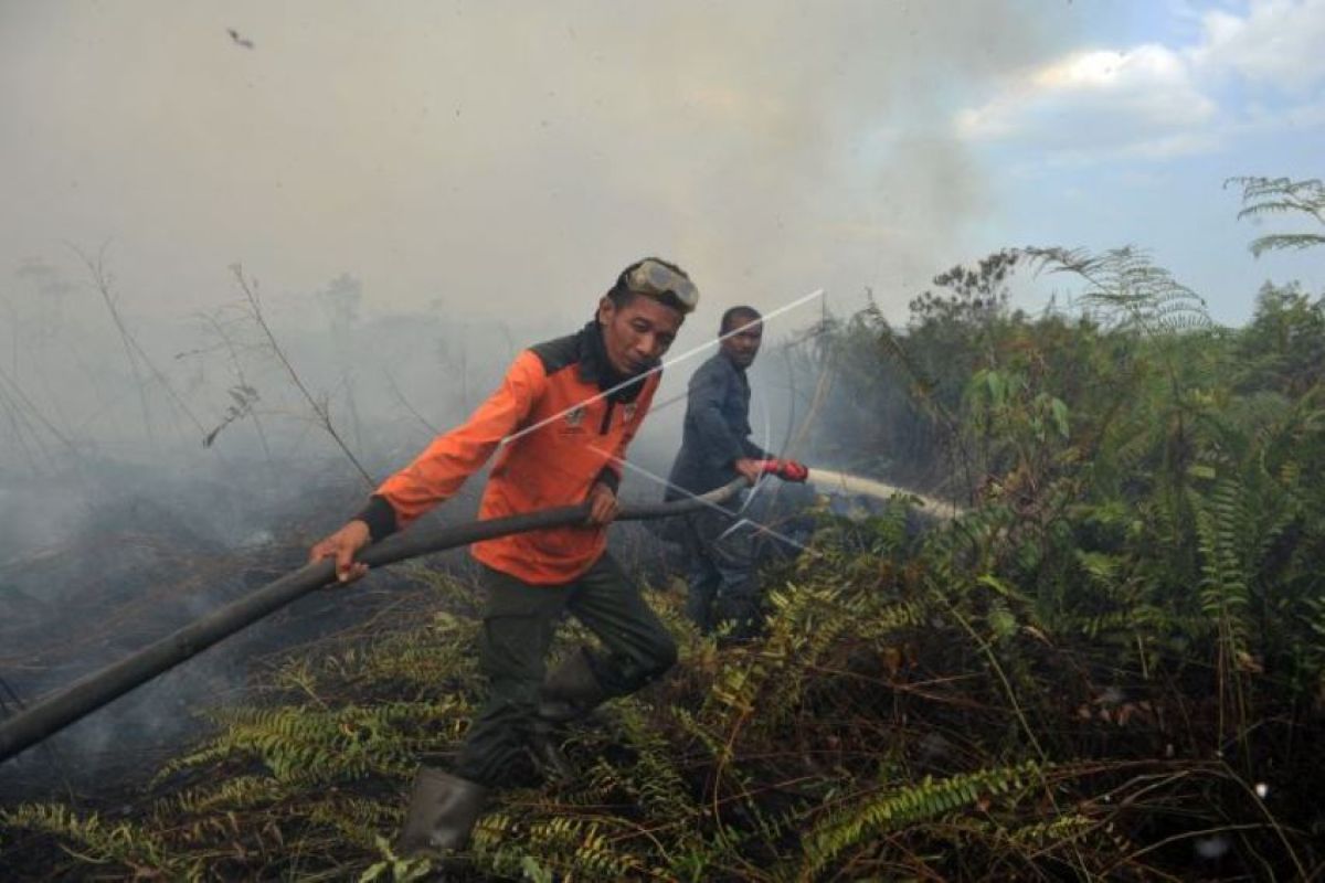 Upaya pemadaman karhutla Muarojambi gelar penyekatan kepala api ...