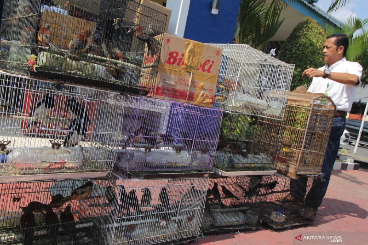 Kasus penyelundupan satwa dilindungi - ANTARA News Jawa Timur