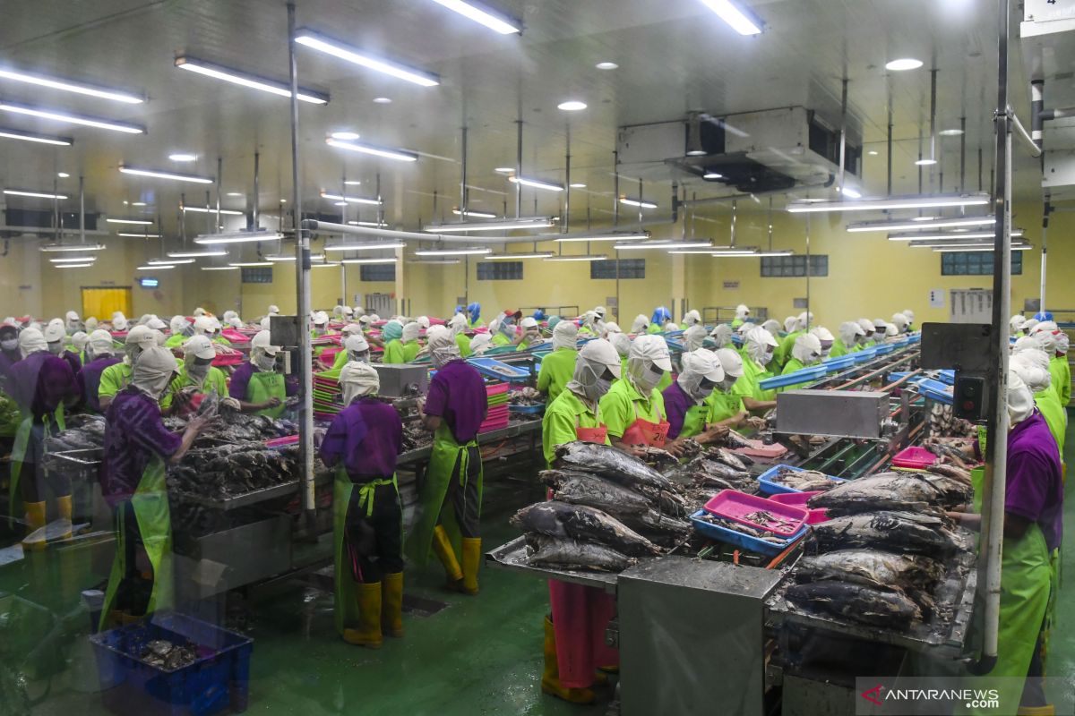 Pengamat: Pemerintah perlu memberi stimulus bagi industri perikanan ...