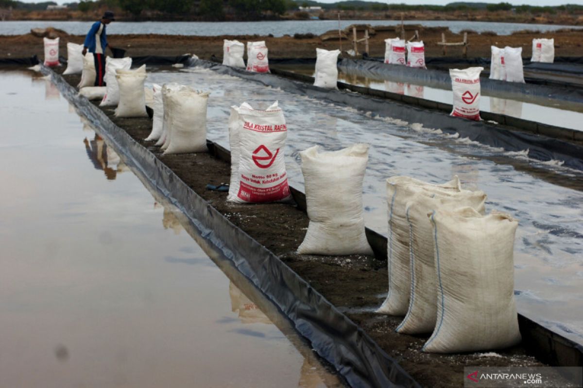 Dugaan korupsi impor garam di Kemenko Perekonomian - ANTARA News Kalimantan Tengah - Berita ...