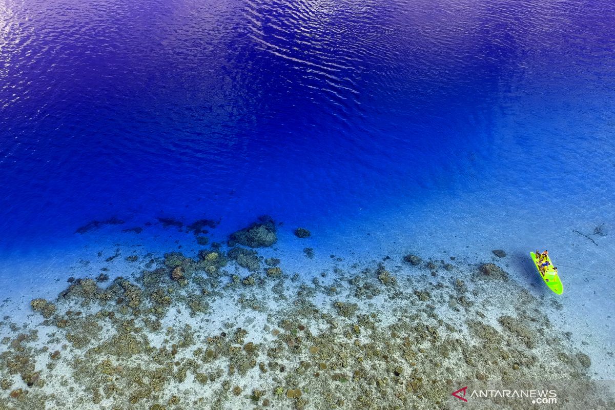 Wisata bawah laut Boalemo - ANTARA News