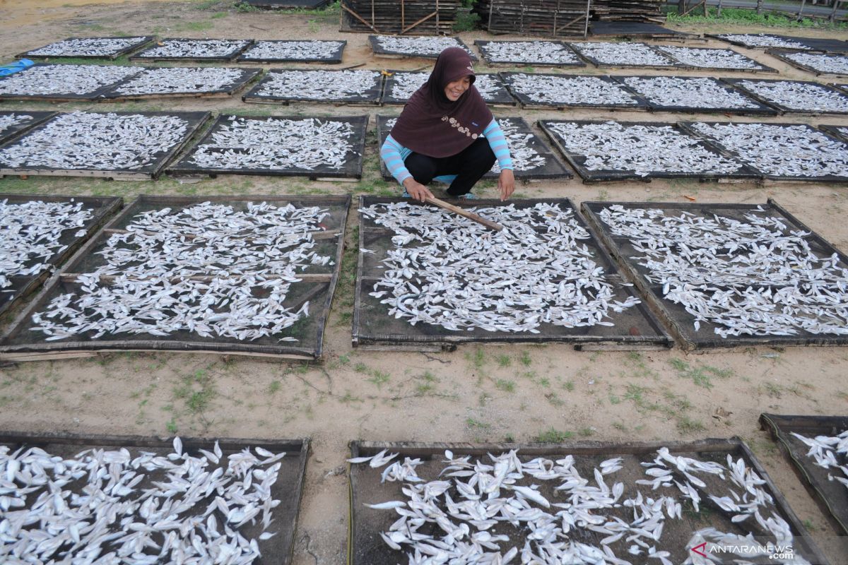 Kesulitan penuhi permintaan ikan kering - ANTARA News Jawa Timur