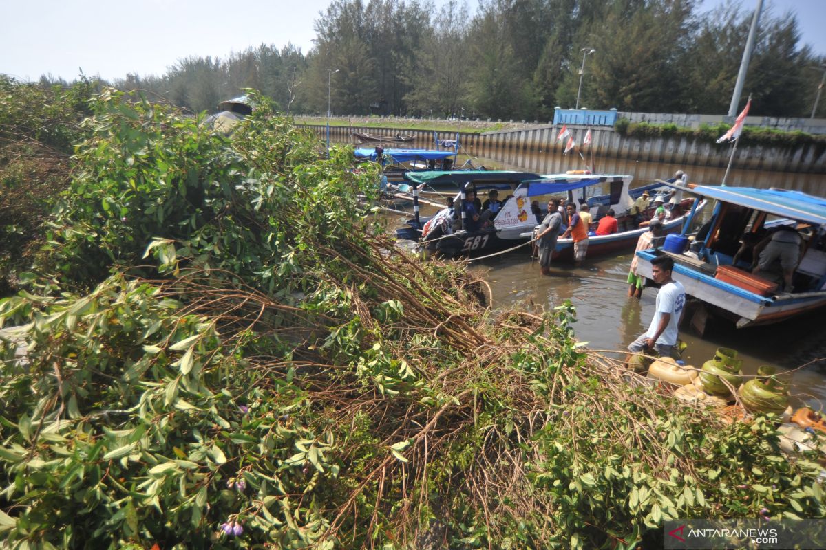 Nelayan gunakan rumpon alami - ANTARA News