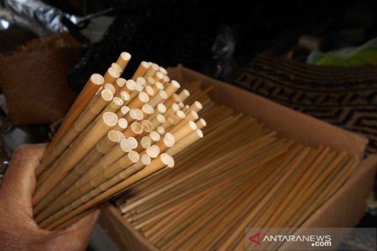 Menyulap gulma jadi sedotan ramah lingkungan hingga mendunia - ANTARA News