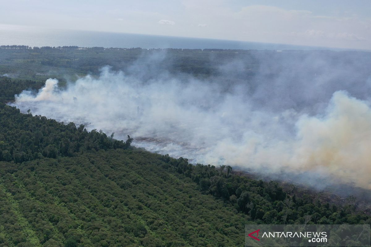 Kebakaran lahan gambut di Aceh Jaya - ANTARA News