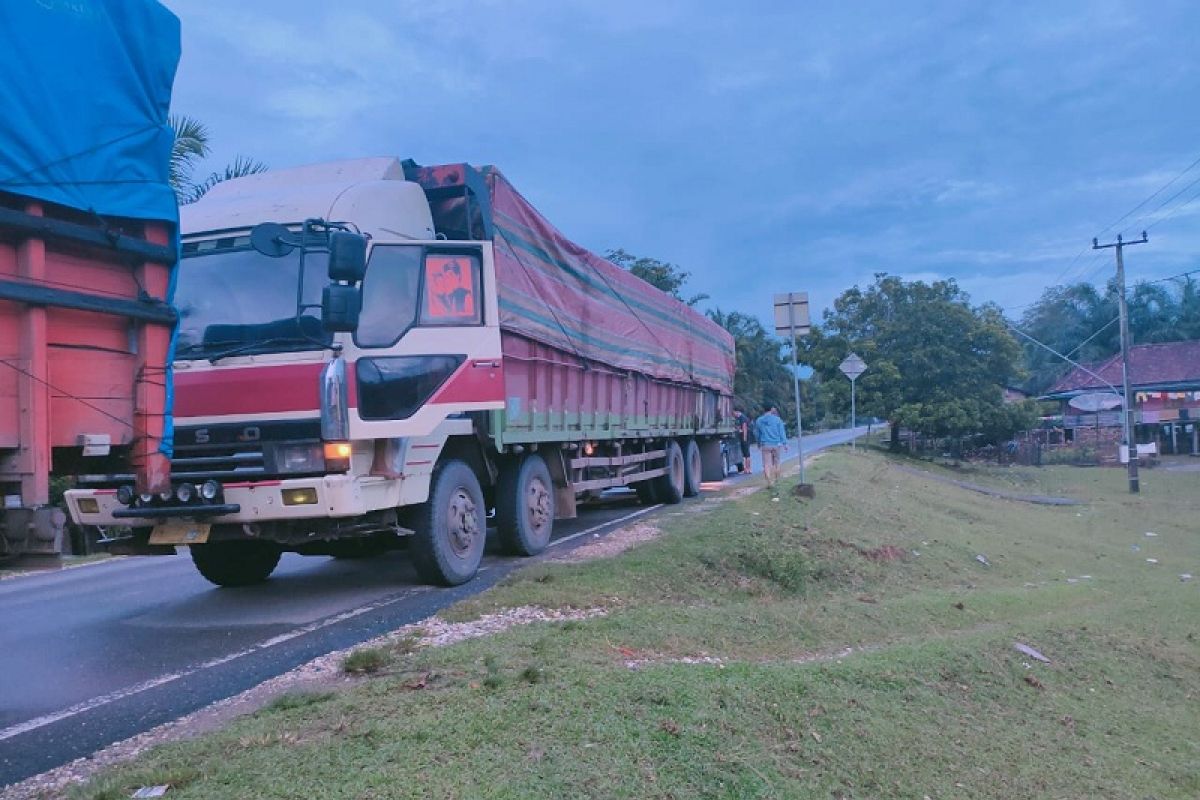 Polda Jambi Hadang Dan Amankan Truk Besar Pengakut Kayu Gelondongan