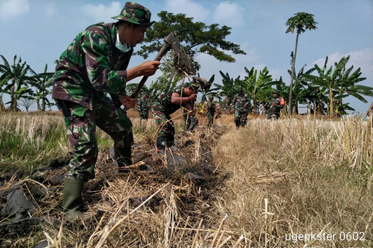 Program Demplot Kodim 0602/Serang tingkatkan swasembada pangan - ANTARA ...