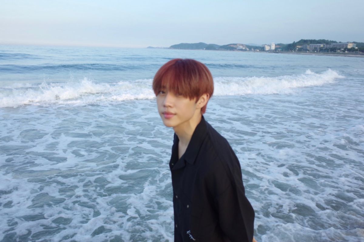 Sun-woo The Boyz minta maaf usai tuai kontroversi foto rokok - ANTARA News