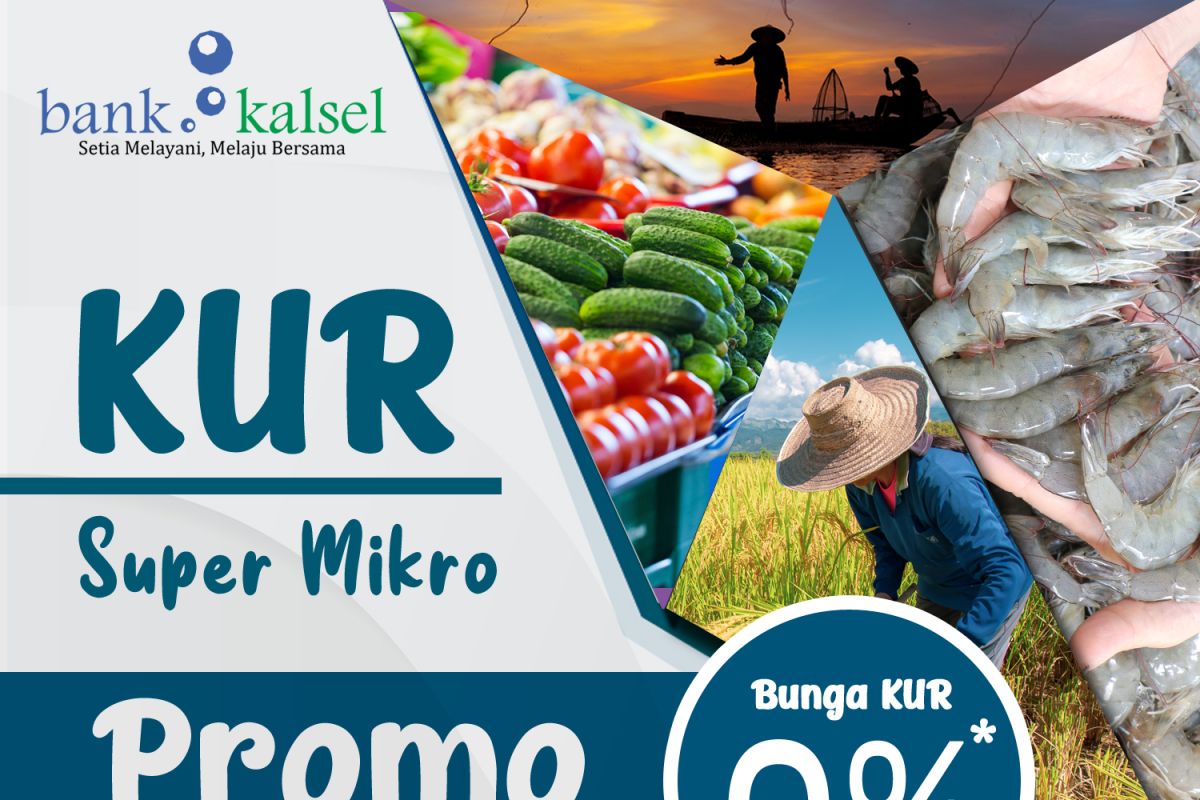 Bank Kalsel kucurkan KUR Super Mikro bunga 0 persen - ANTARA News ...