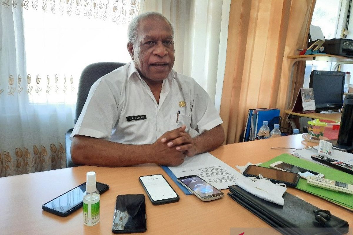 ESDM Papua: FMG Australia mulai pengambilan data terkait pembangunan ...