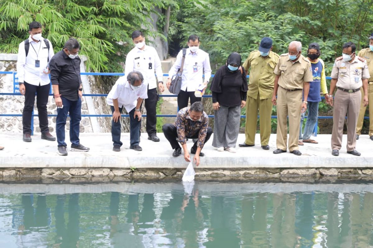 Menteri Kelautan dan Perikanan tebar benih ikan di Embung Gadingan ...