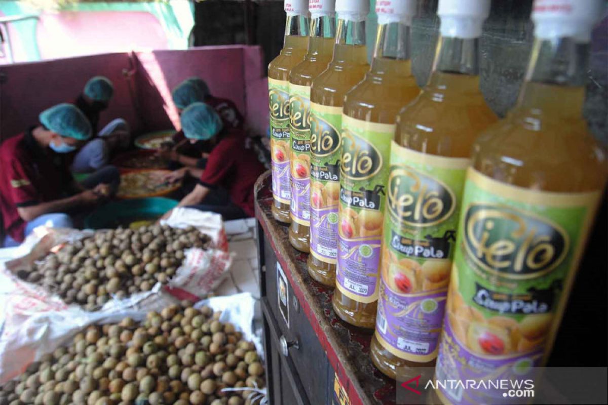 Produksi sirup buah pala - ANTARA News